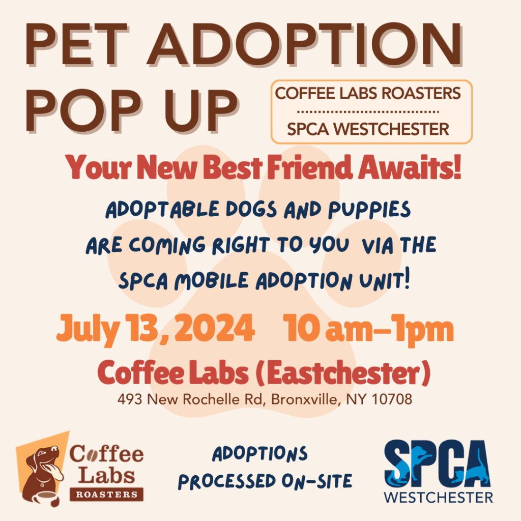 Mobile Adoption Event @ Coffee Labs - SPCA Westchester, New York