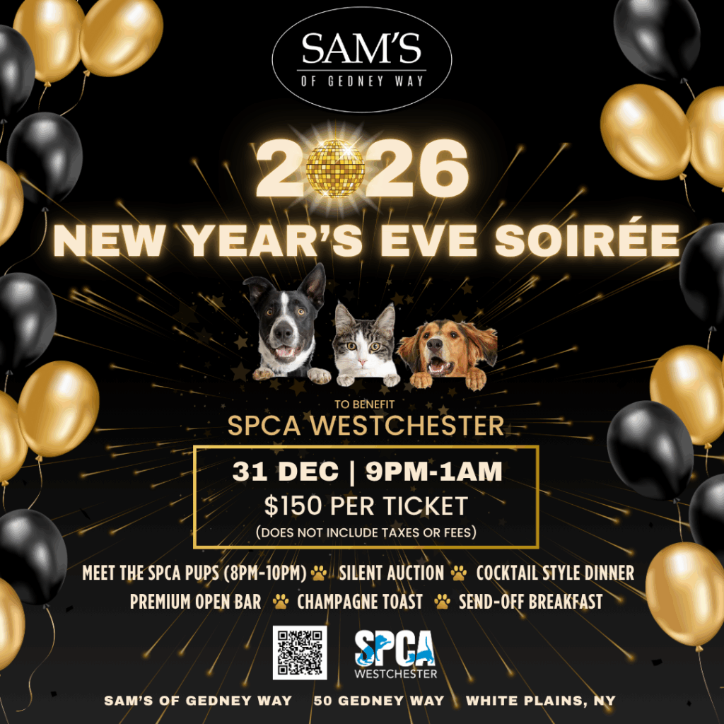 New Year's Eve Benefit - SPCA Westchester, New York